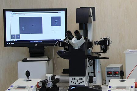 IMSI Treatment | DPU IVF